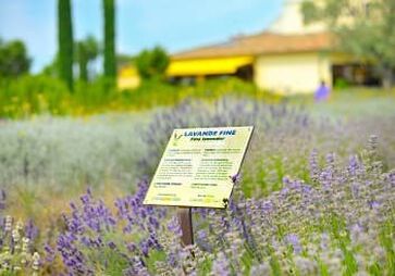 Découverte de l'Usine - L'OCCITANE vous invite à Manosque